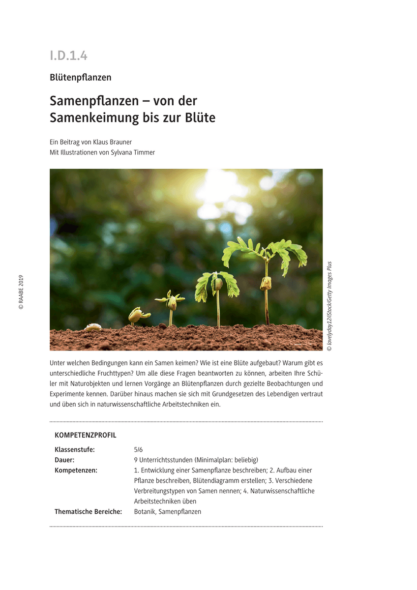 Samenpflanzen Von der Samenkeimung bis zur Blüte